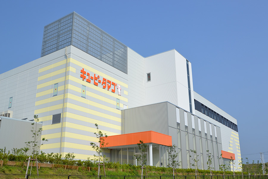 Kewpie Egg Corporation